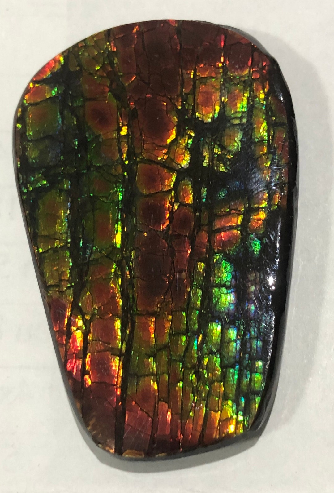Ammolite Natural AAA Quality - Etsy