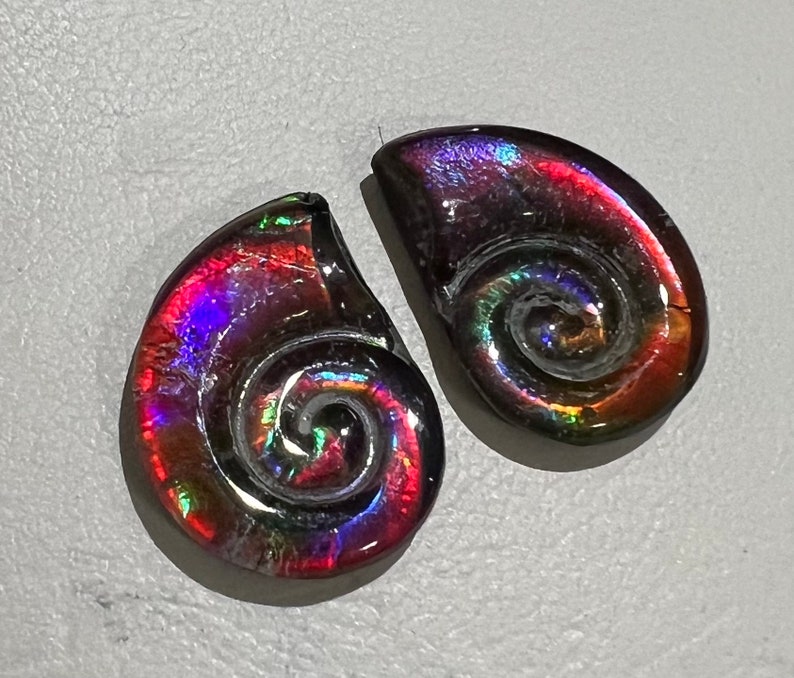 Ammolite Triplet Fossil Shape (pair) - Etsy