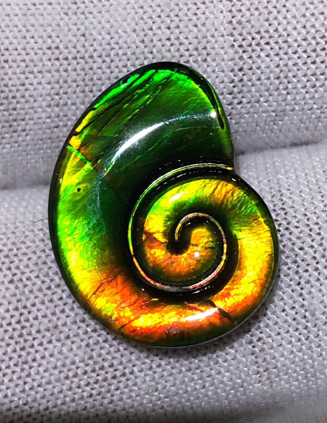 Ammolite Triplet Fossil Shape - Etsy