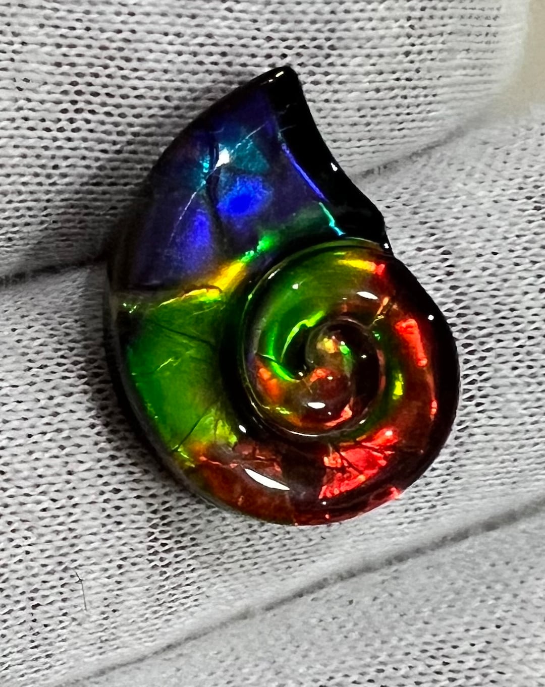 Ammolite Triplet Fossil Shape - Etsy