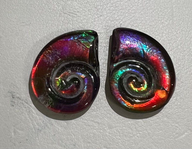 Ammolite Triplet Fossil Shape (pair) - Etsy