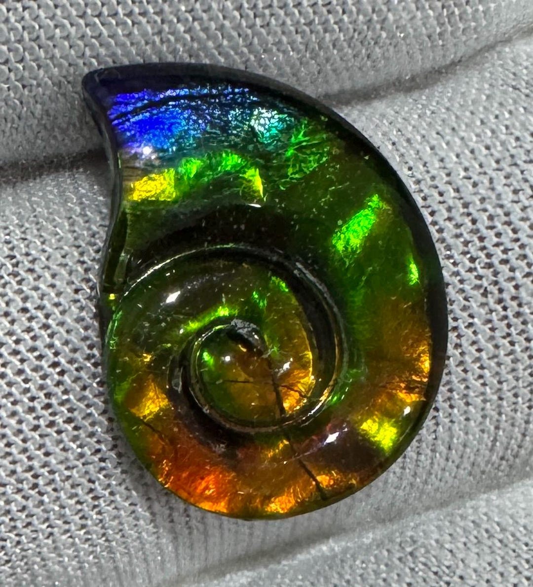 Ammolite Triplet Fossil Shape - Etsy