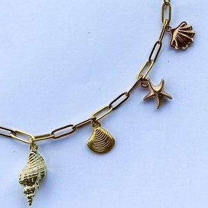 Gold Conch Shell Charm Necklace: Coastal Beach Jewelry - Etsy