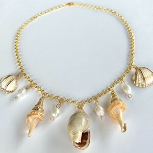 Seashell and Freshwater Pearl Necklace - Real Seashell Charm Necklace ...