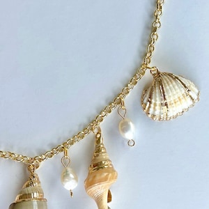 Seashell and Freshwater Pearl Necklace - Real Seashell Charm Necklace ...