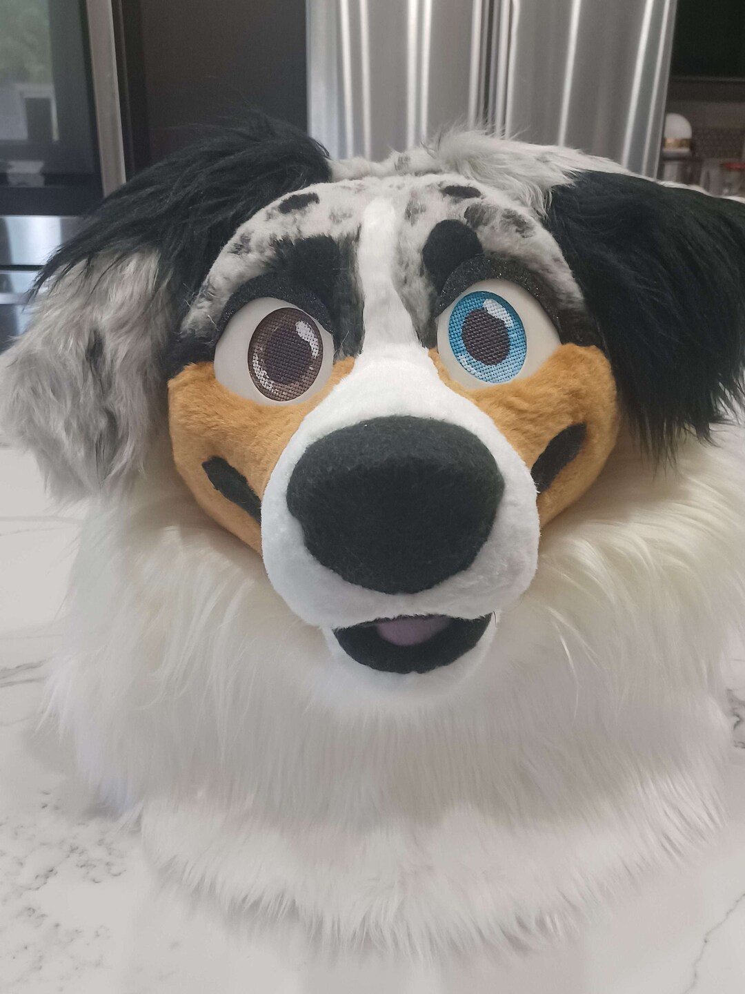Australian Shepherd Fursuit Head - Etsy