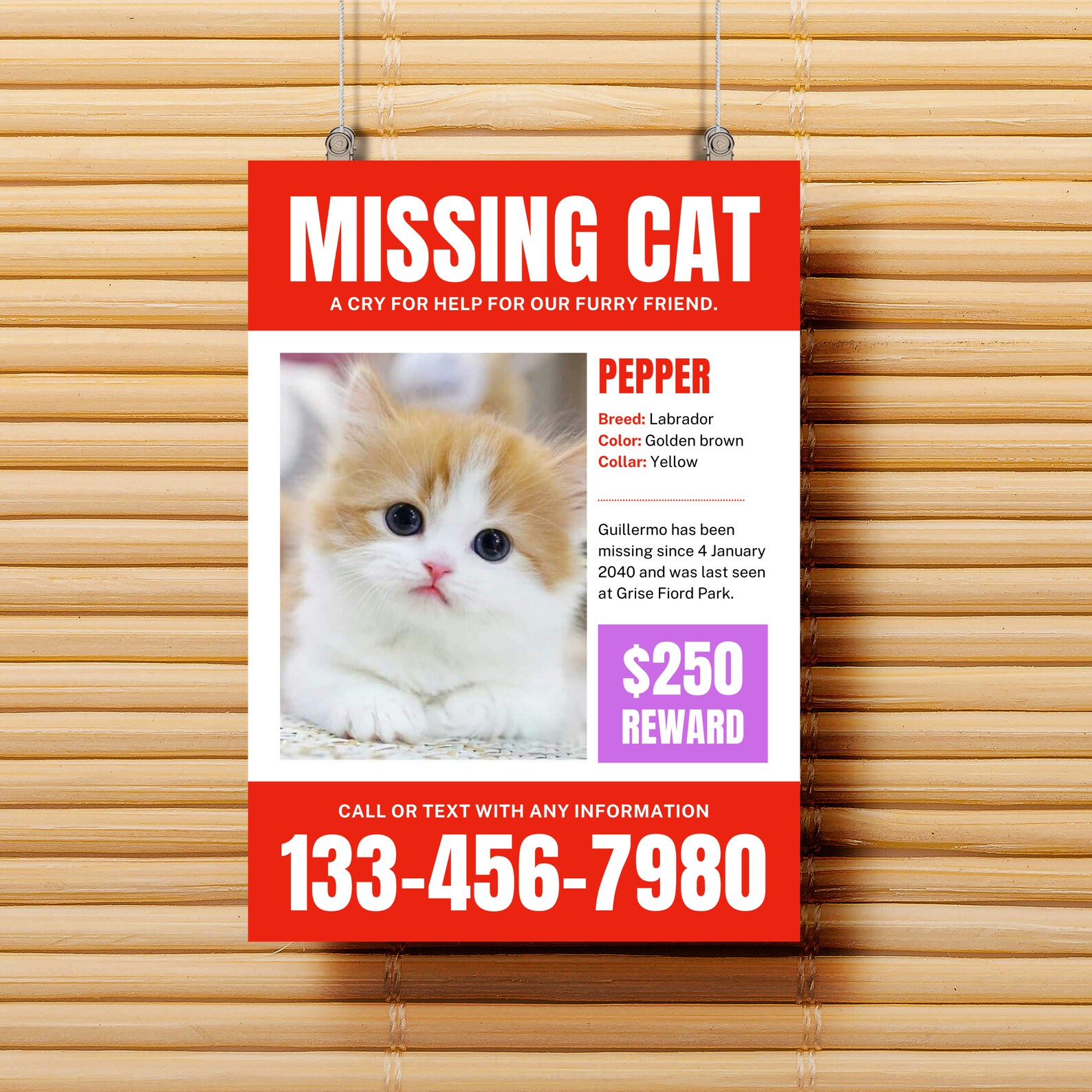 Missing Pet Flyer Canva Template: Lost Dog, Lost Cat (digital Download ...