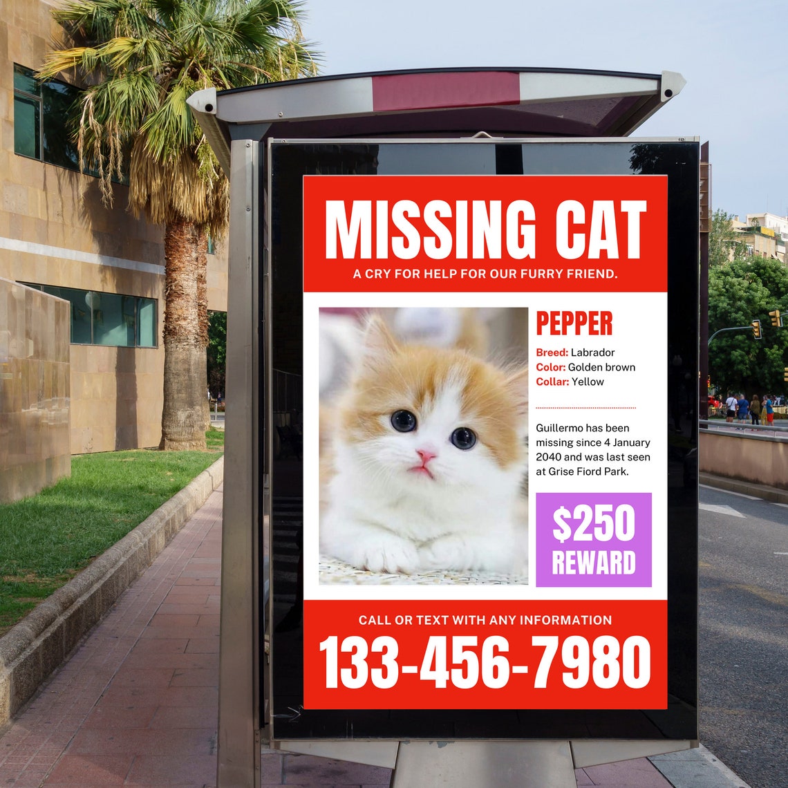 Missing Pet Flyer Canva Template: Lost Dog, Lost Cat (digital Download ...