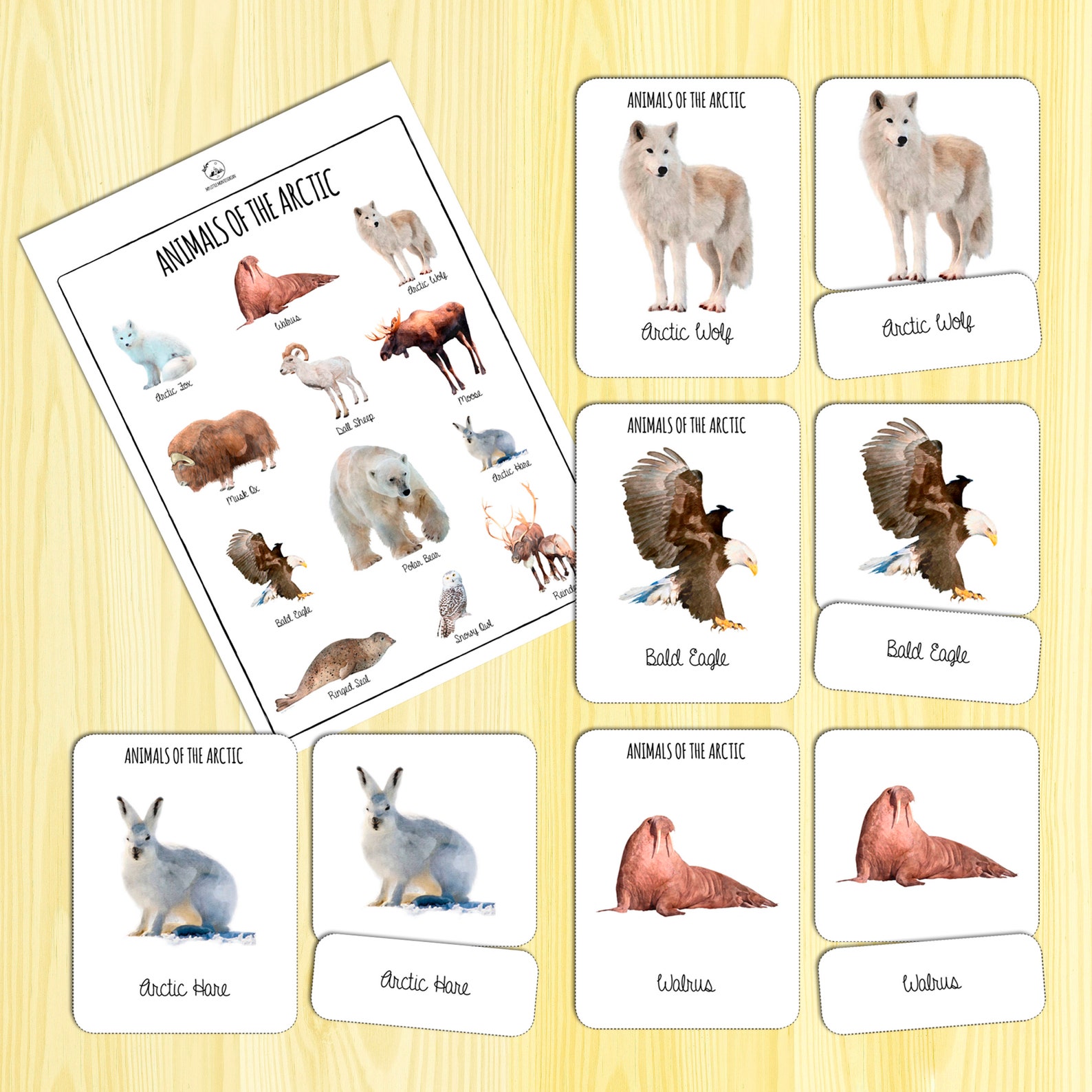 Animals of the Arctic - Etsy