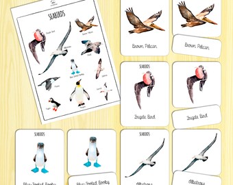 What is Plastic Pollution Water Pollution Earth Day - Etsy