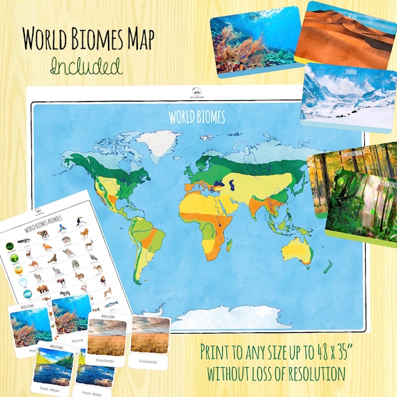 Carte Du Biome Des Prairies Les Biomes Terrestres