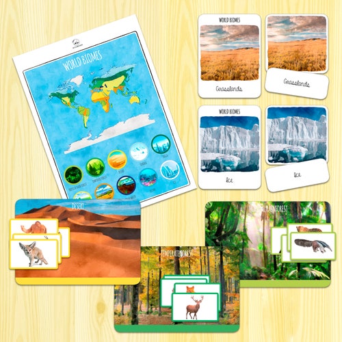 World Biomes Puzzle Map Geography Lesson Busy Book Binder - Etsy