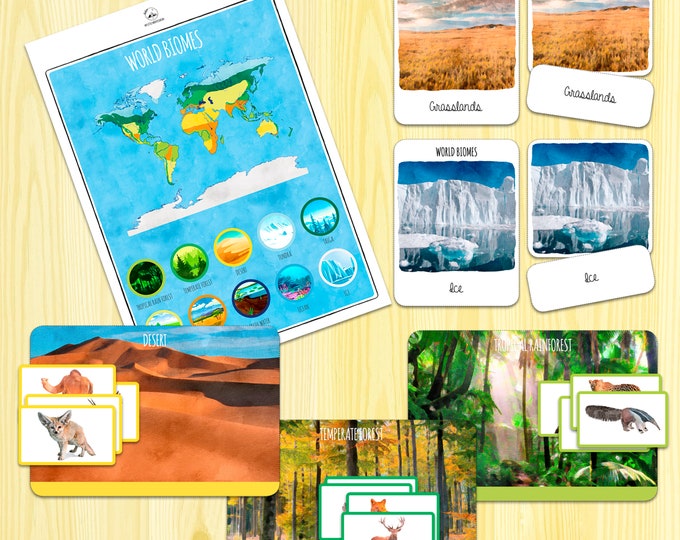 Biomes Bulletin Board Kit Biomes Posters Borders Banners - Etsy