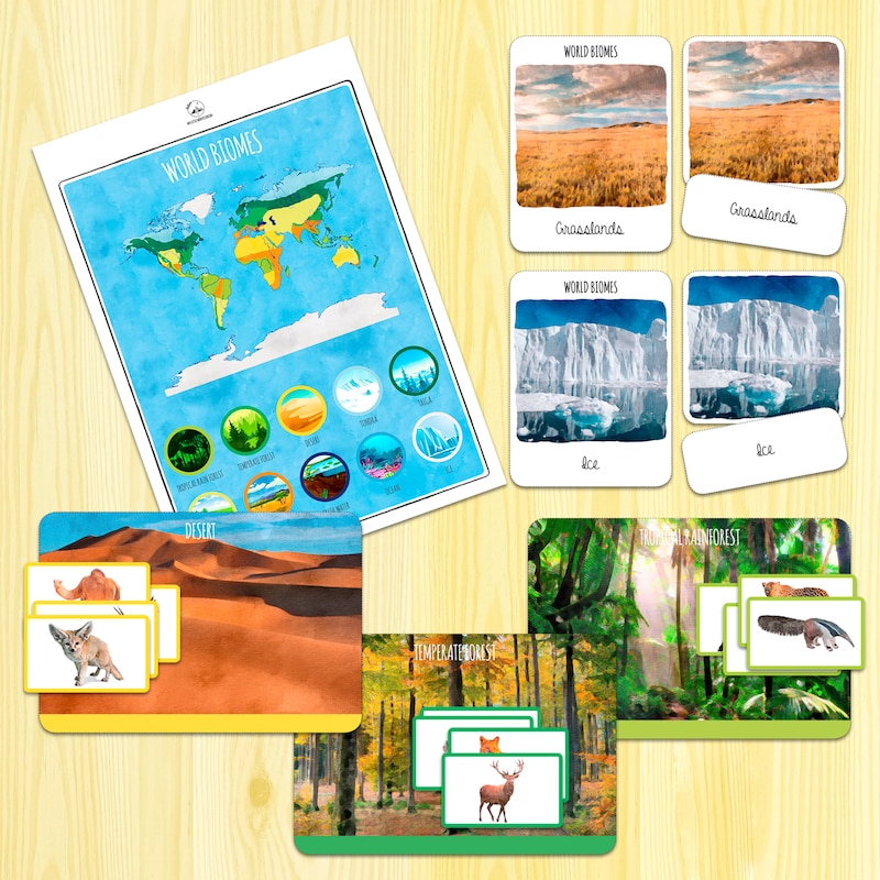 Biomes maps of the world - Etsy.de