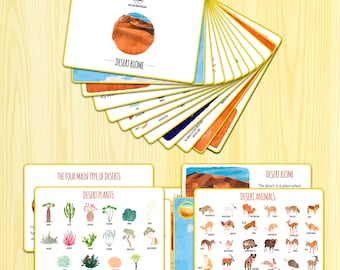 Desert Biome Project - Etsy