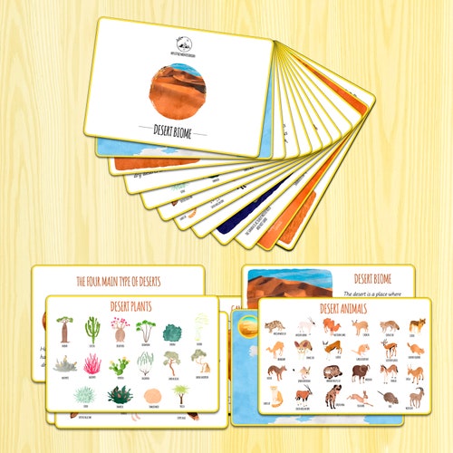 Desert Unit: Science Pack - Etsy