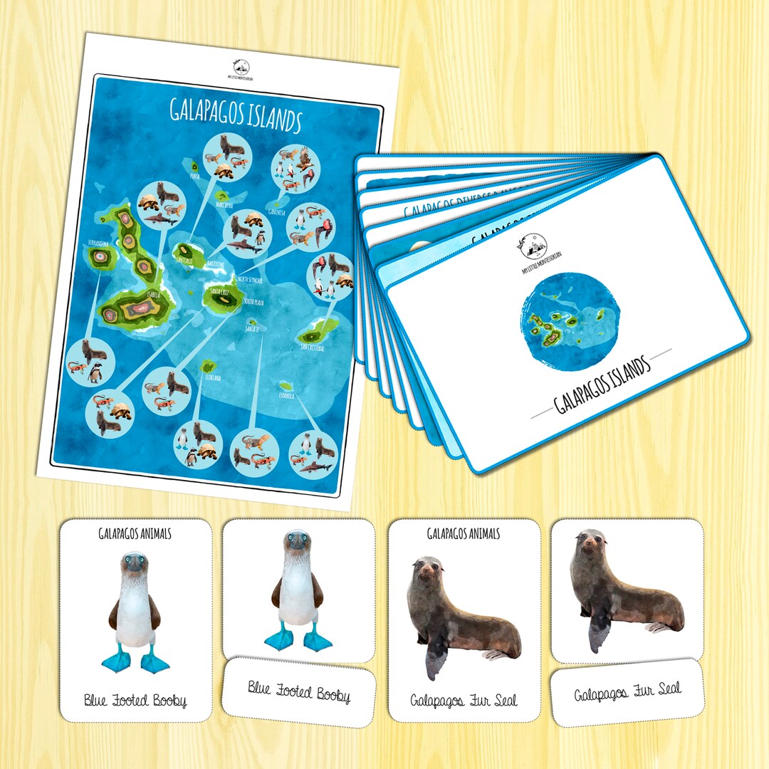Galapagos Islands Biome Pack - Etsy
