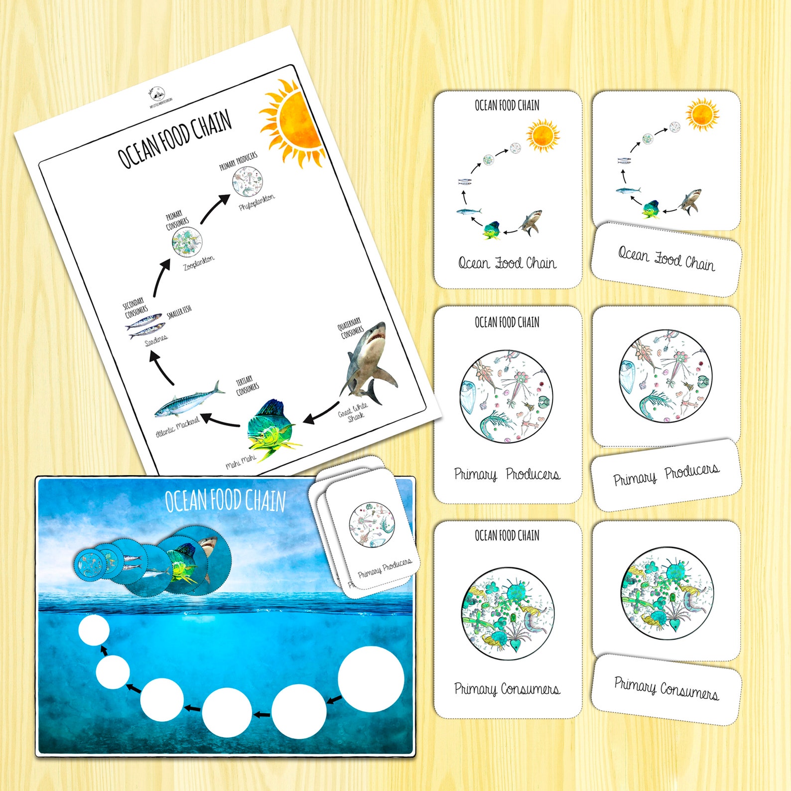 Ocean Food Chain - Etsy