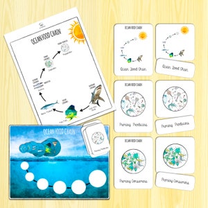 Ocean Food Chain - Etsy