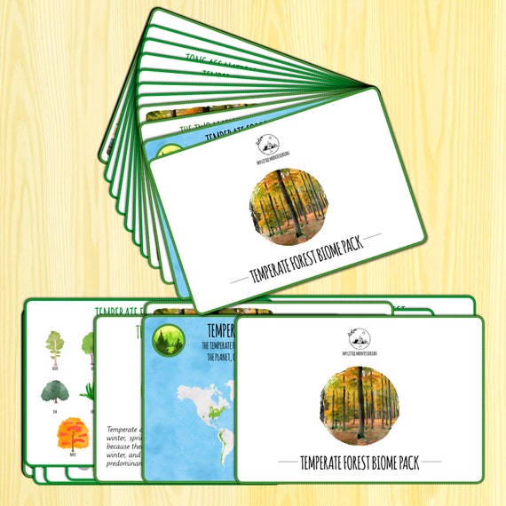 Temperate Forest Biome Pack - Etsy