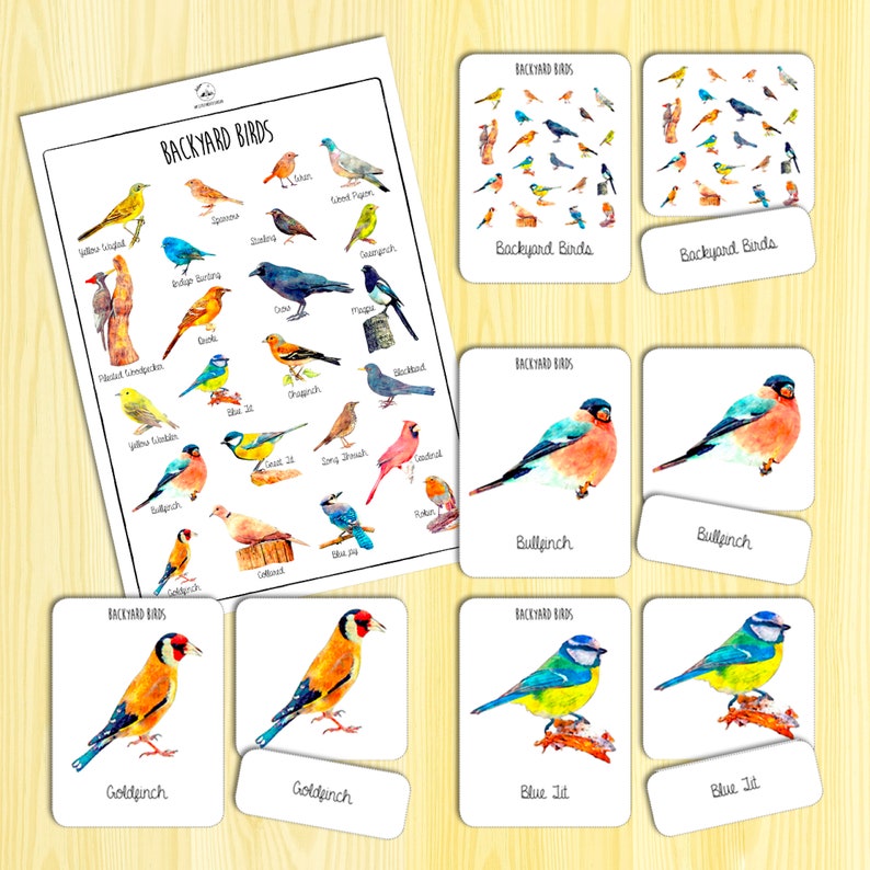 Backyard Birds - Etsy