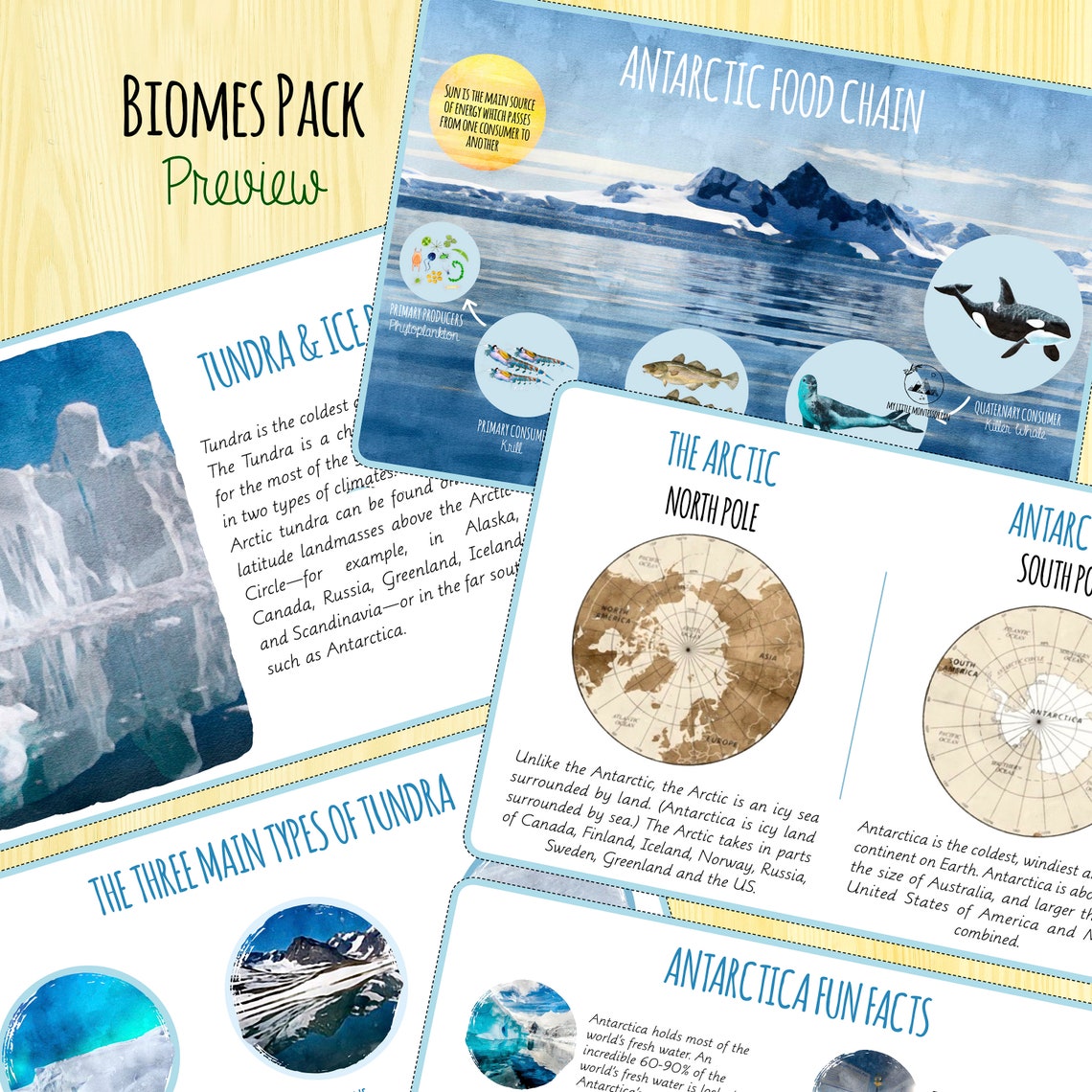 Tundra & Ice Biome Pack - Etsy