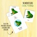 Rainforest Birds & Animals - Etsy