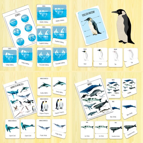 Antarctica Bundle - Etsy