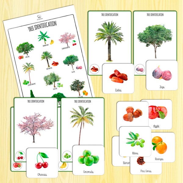 Montessori Tree Identification - Etsy