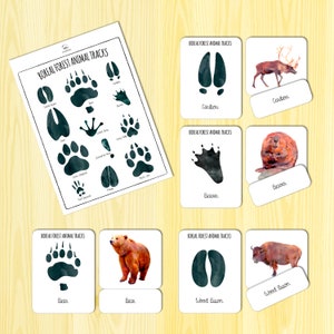 Boreal Forest Animal Tracks - Etsy