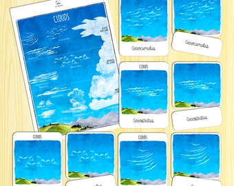 Cloud Identification Cards Types of Clouds Clouds - Etsy