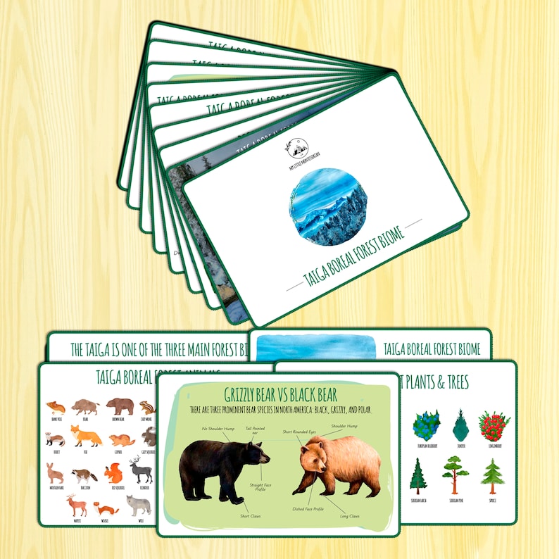 Taiga (boreal Forest) Biome Pack - Etsy