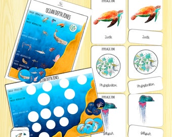 A2 Ocean Zones Poster - Etsy