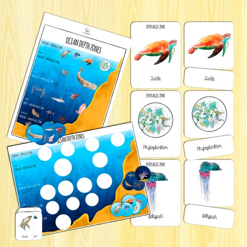 Zones / Layers of the Ocean Busy Book Printable - Etsy