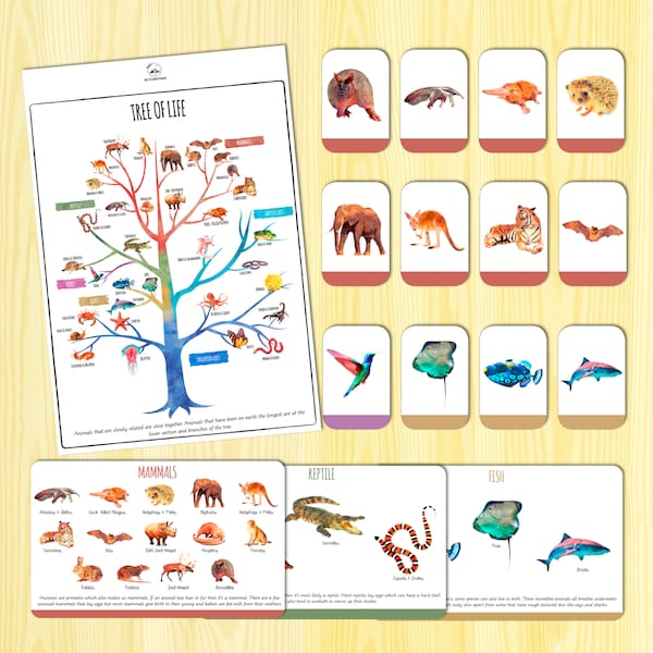 Montessori Tree of Life - Etsy