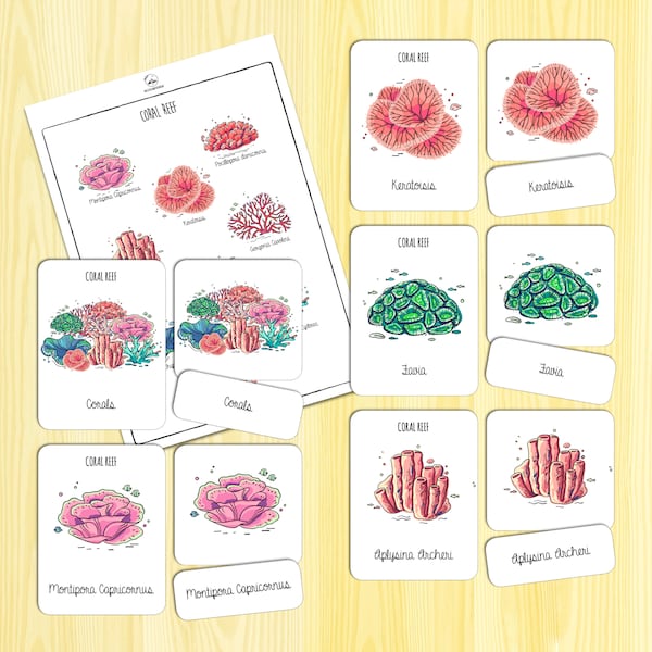 Animals of the Continents Coloring Pages (montessori Preschool ...