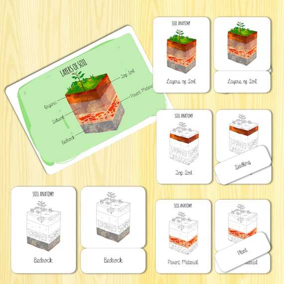 Soil Anatomy | Etsy