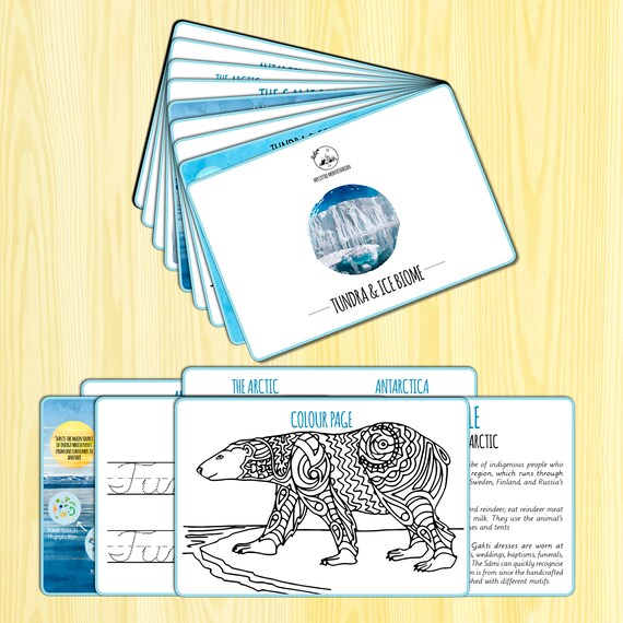Tundra & Ice Biome Pack - Etsy