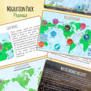 Migration - Etsy
