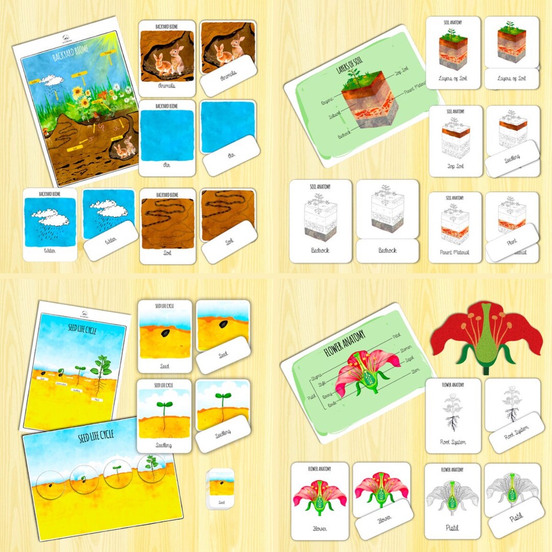 Backyard Biome Bundle - Etsy