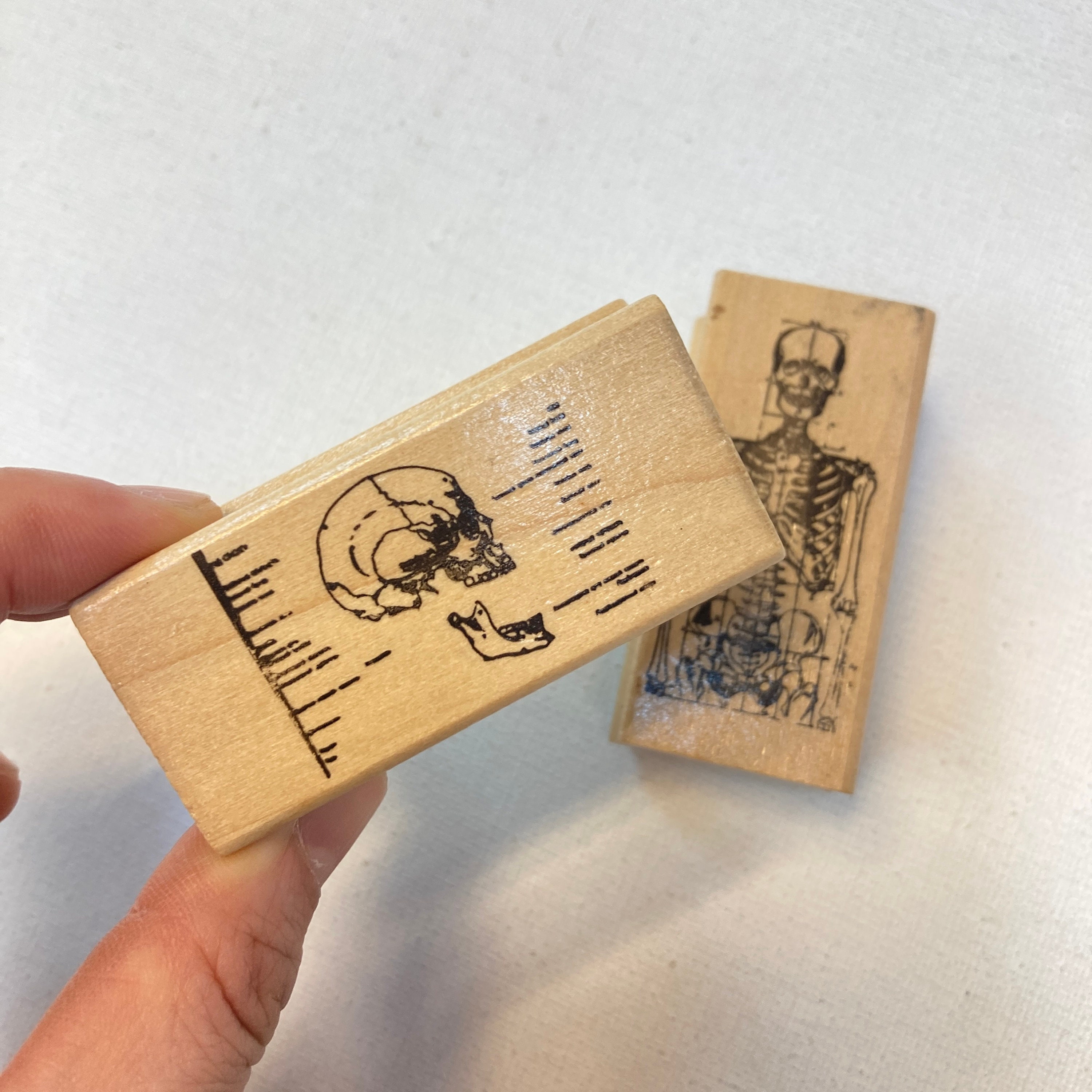 Wooden Rubber Stamps: Human Anatomy, Medical Student Stamp, Skull ...