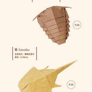 Extinct Species and Dinosaurs Made With Origami by Fumiaki Kawahata ...
