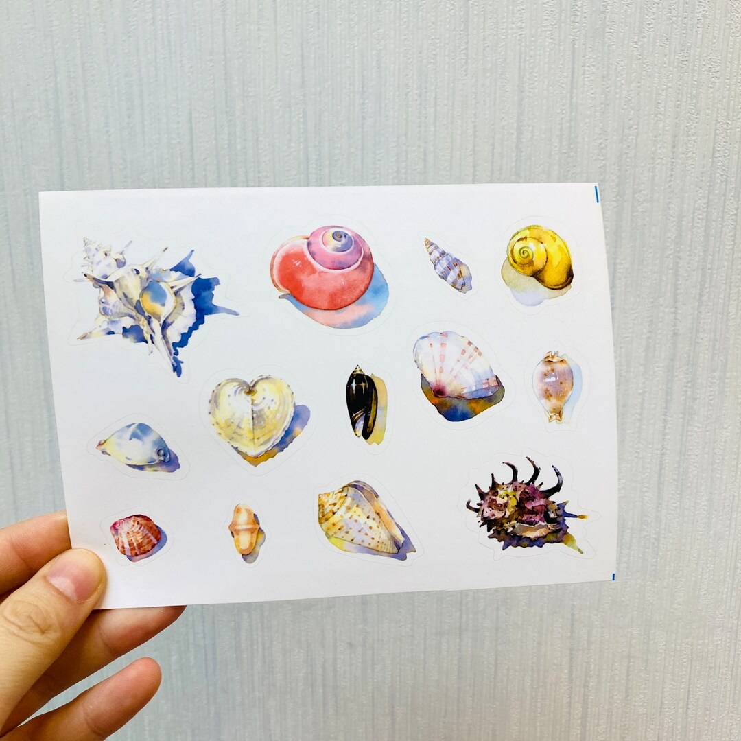 2 Sheets of Illustrations Art Paper Sticker: Seashell , Oyster Shell ...