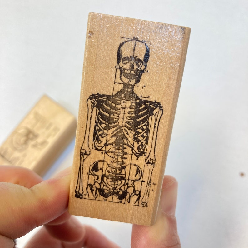Wooden Rubber Stamps: Human Anatomy, Medical Student Stamp, Skull ...