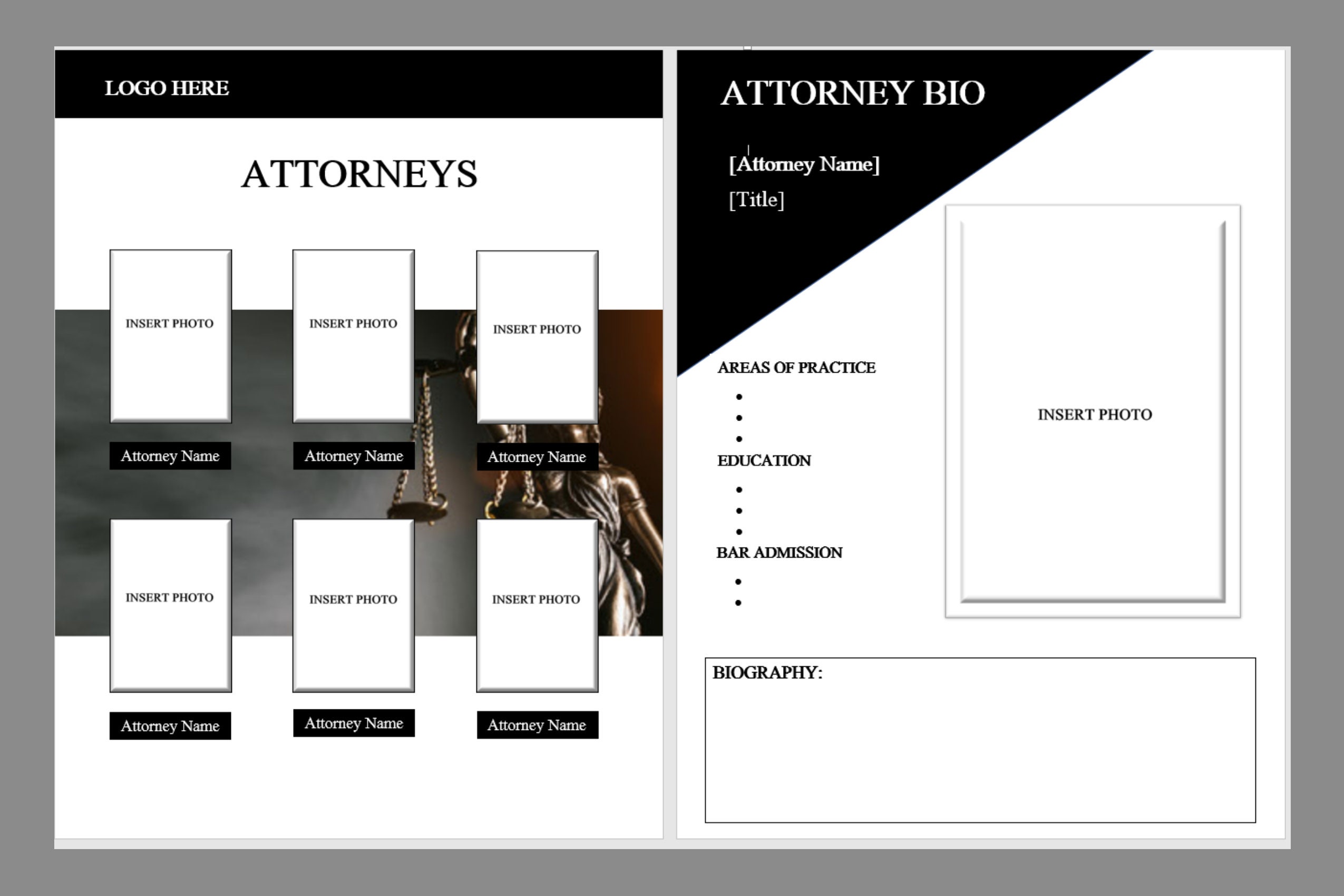 Attorney Biography Template | Word Format - Etsy