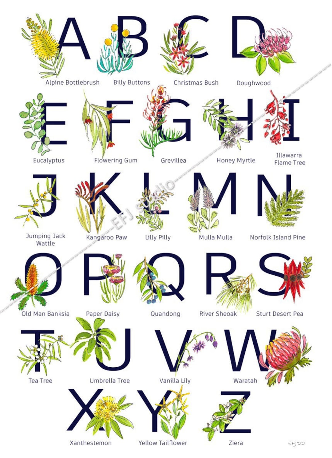 A3 Size A-Z Australian Native Plants Alphabet Botanical - Etsy UK