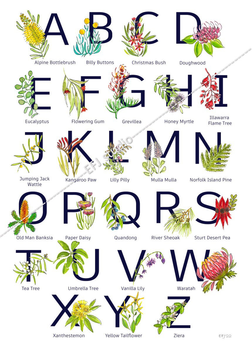 A2 Size A-Z Australian Native Plants Alphabet Botanical - Etsy Australia