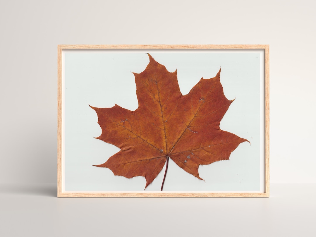 Fall Maple Leaves Printable, Dry Leaves Art | Fall Print Artwork ...