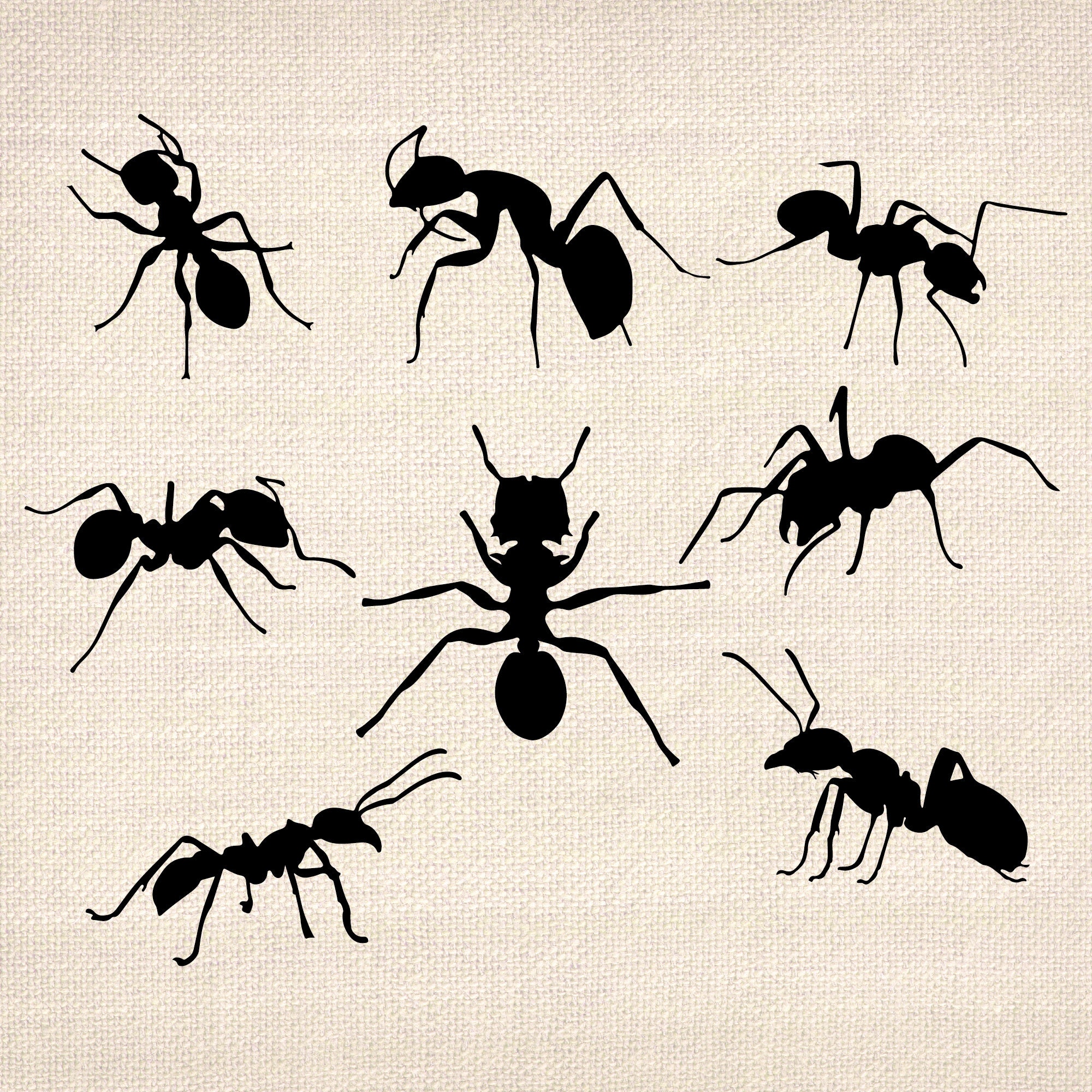 Realistic Ants Silhouette Svg Pdf Png / Insects Silhouette Vector Cut ...