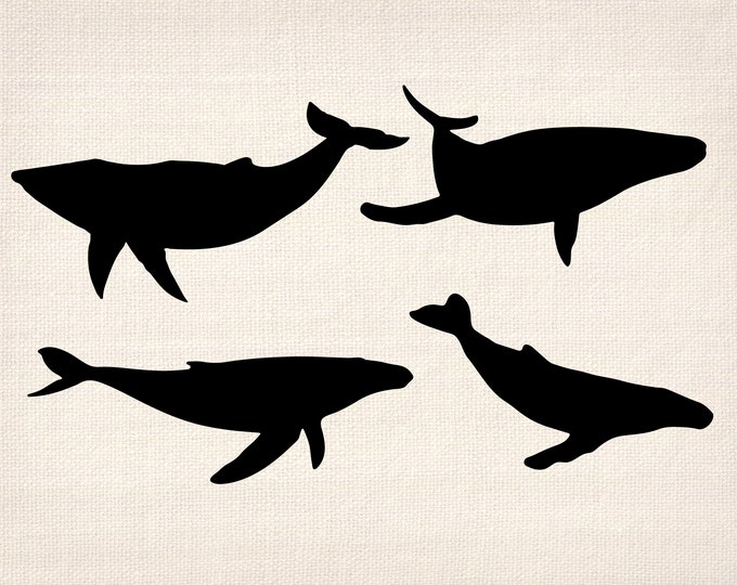 Silueta de ballena SVG Vector clipart Archivos de corte de forma de ...